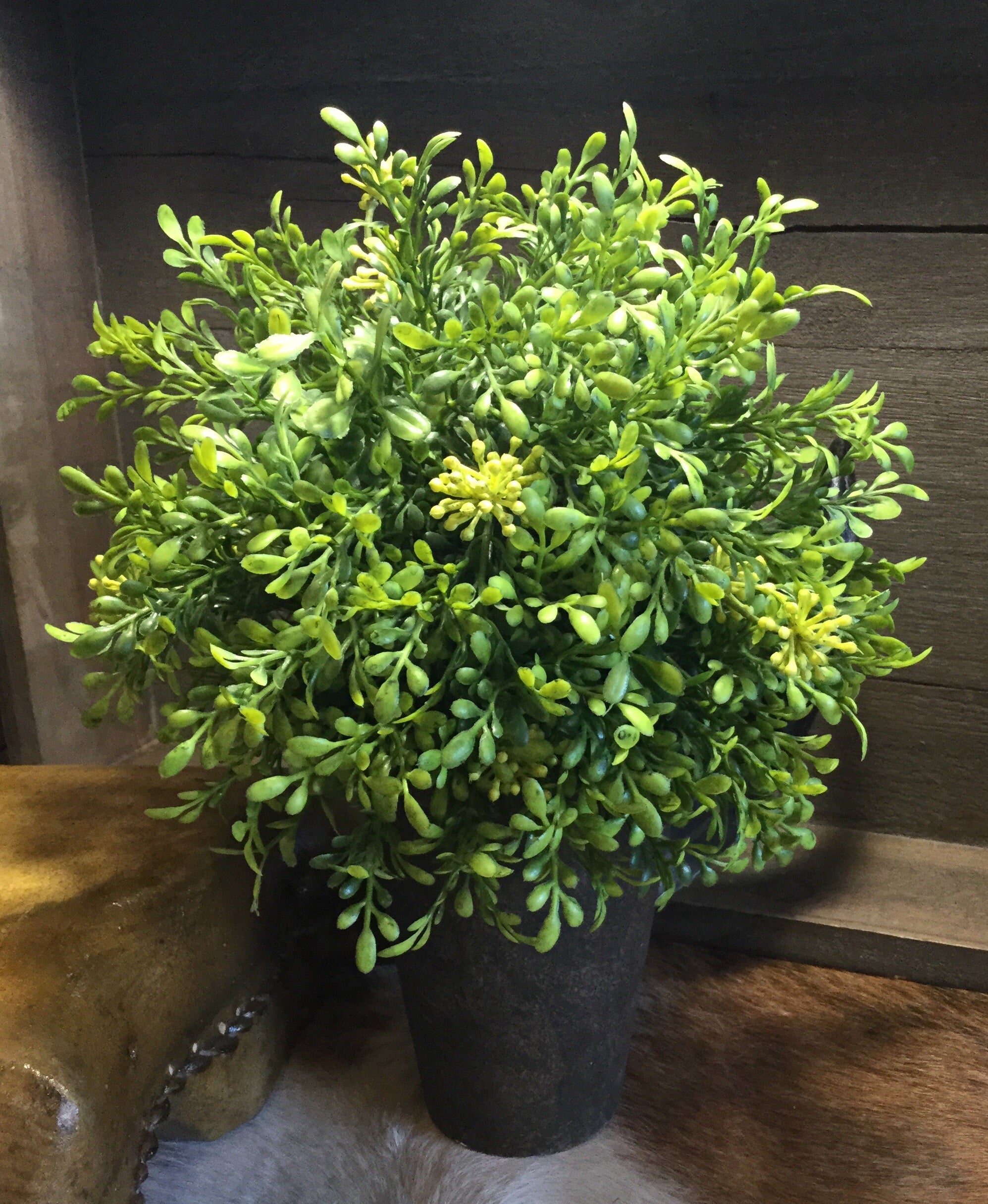 Tea Leaf Fern – Cross H Tack & Decor