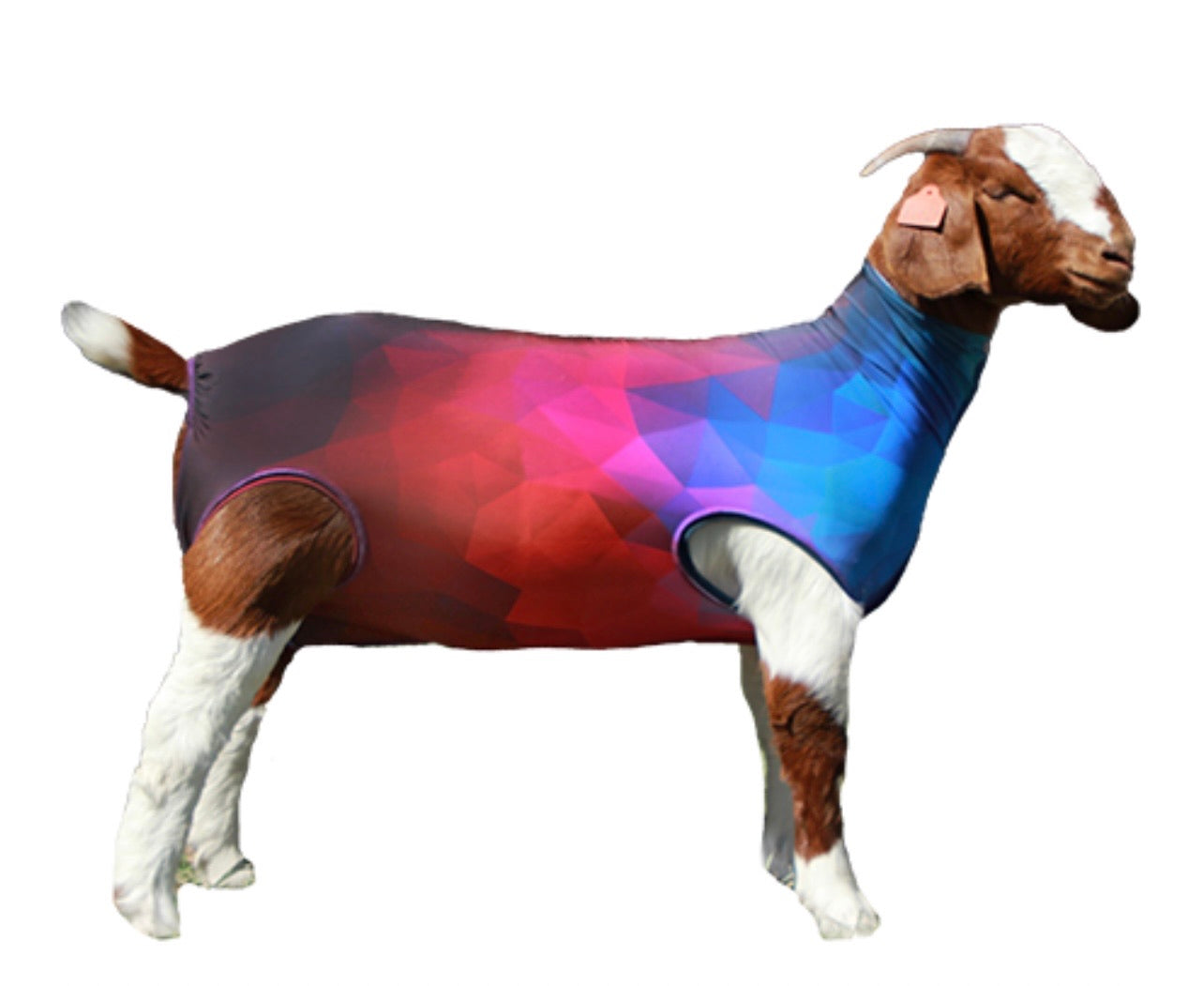 Performance Spandex Goat Tube – Cross H Tack & Decor